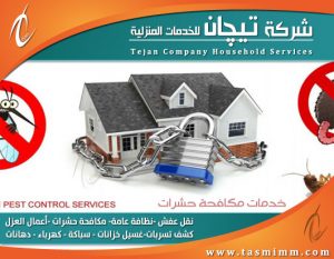 شركة مكافحة حشرات بجدة ومكه للإيجار 00201011207263 افضل شركة رش مبيدات
